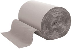 Papier en Karton GZ OfficeXperience